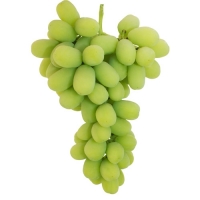 Apple Banana Orange Mango Grape Suppliers, Manufacturers, Wholesalers ...